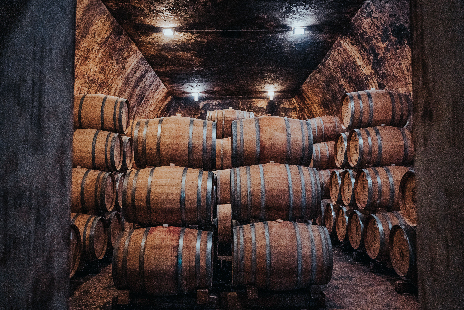 Reportaža Vinarija Kovačević | Roda.rs